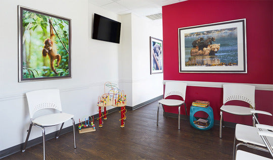 The Power of Cute - Pediatric Office Art – Baby Animal Prints by Suzi