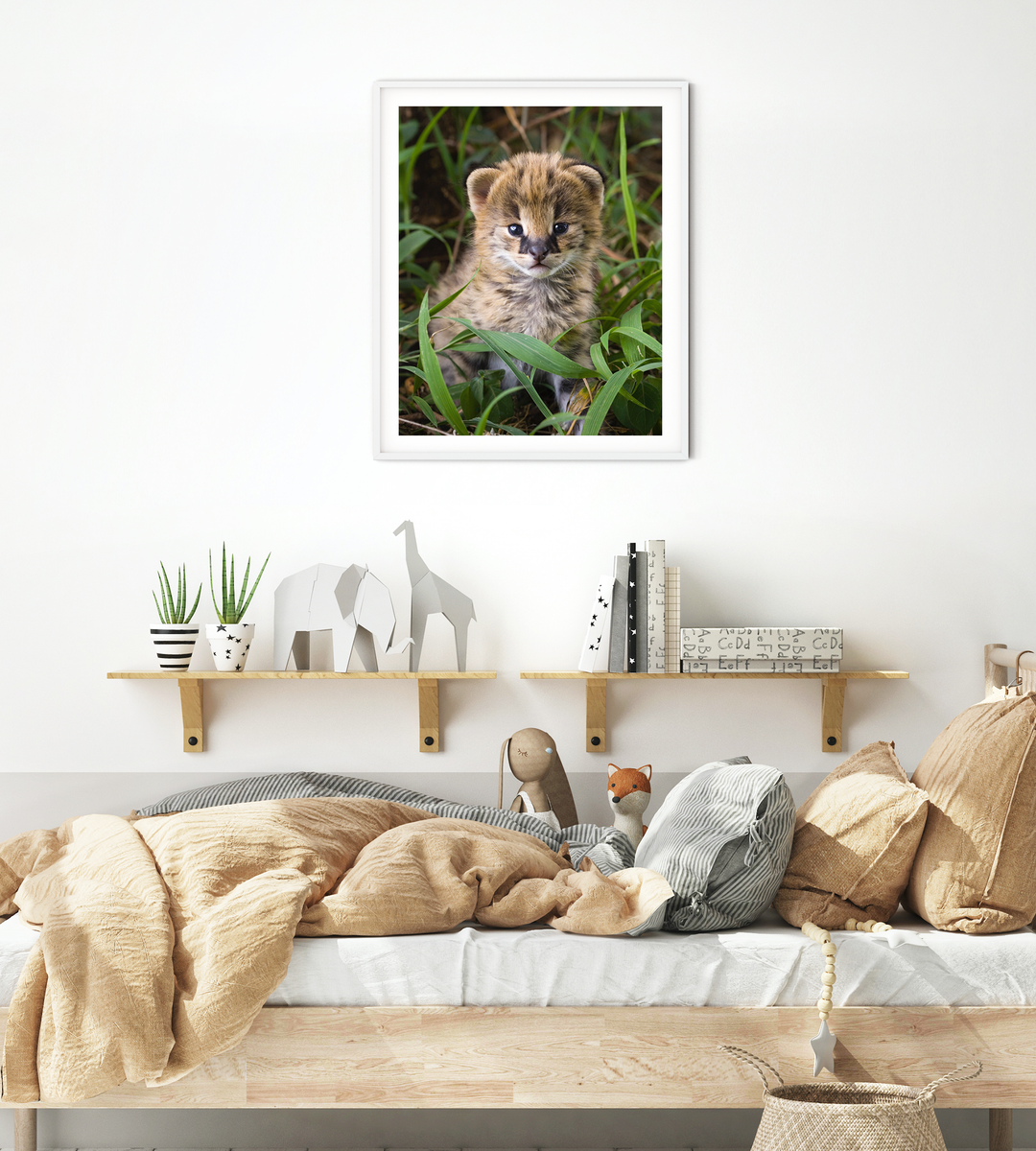 Serval Kitten Photo – Baby Animal Prints by Suzi