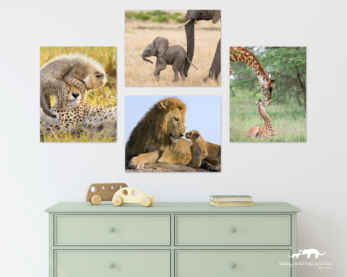Safari Baby Animals Photo Set (Color) – Baby Animal Prints by Suzi