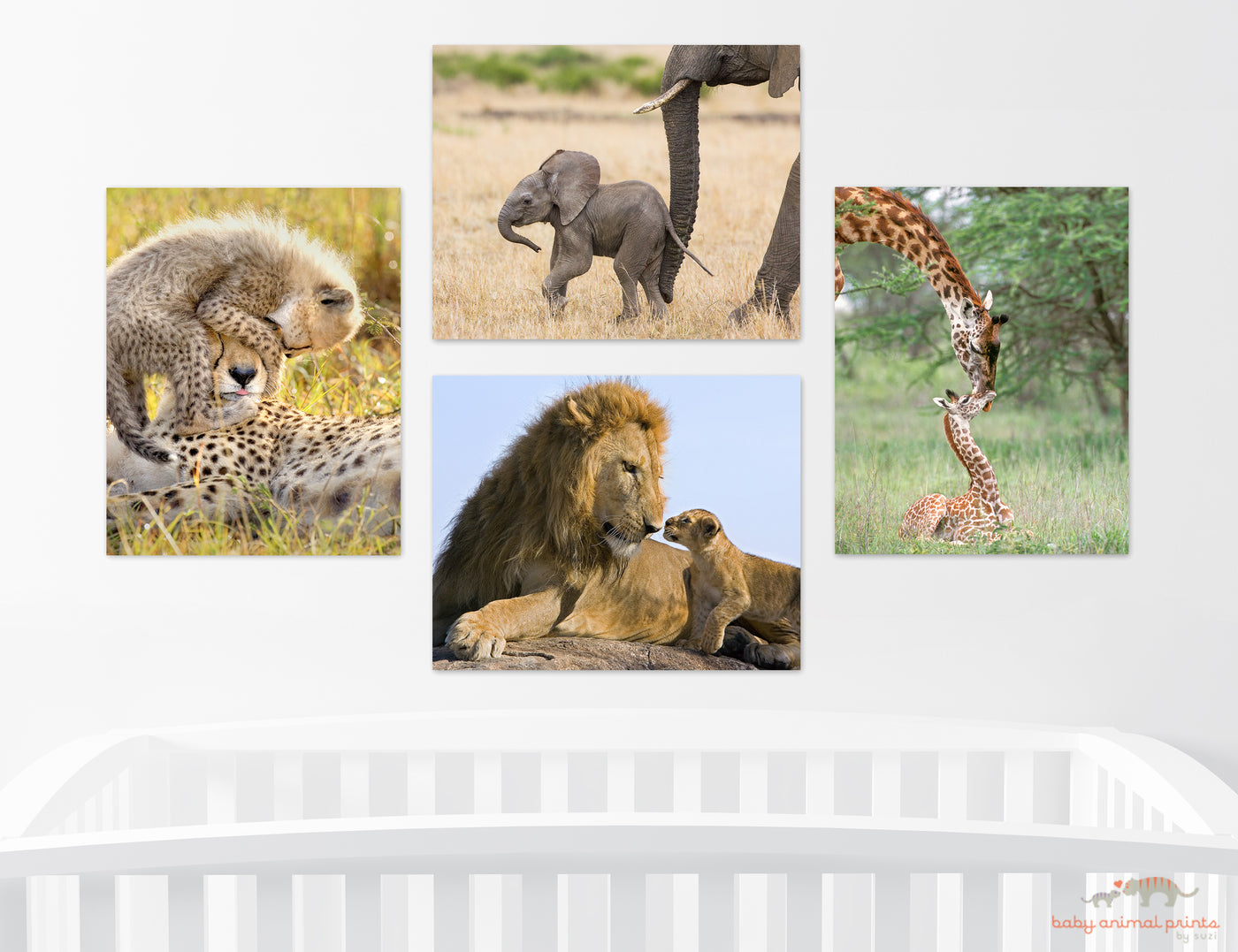 Safari Baby Animals Photo Set (Color) – Baby Animal Prints by Suzi