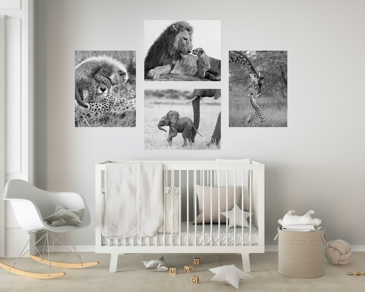 Safari Baby Animals Photo Set (Black and White) – Baby Animal Prints by ...