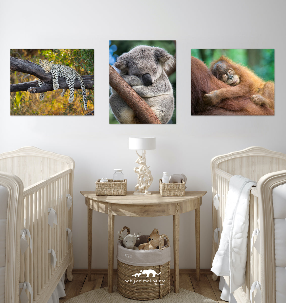 Sleepy Baby Animals Photo Set (Color) – Baby Animal Prints by Suzi