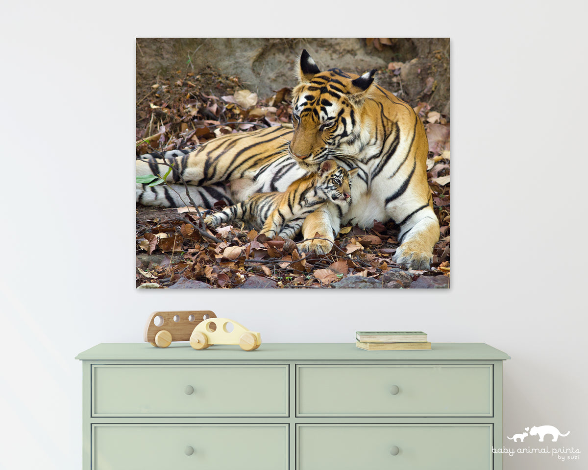 Baby Tiger Snuggling Mom Photo – Baby Animal Prints by Suzi