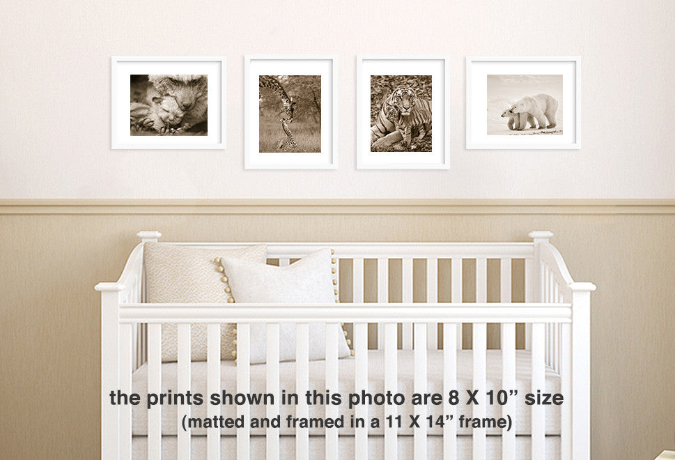 Mom and Baby Animals Photo Set (Sepia) – Baby Animal Prints by Suzi